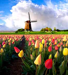 “Welcome to Holland!” – Heart Sisters