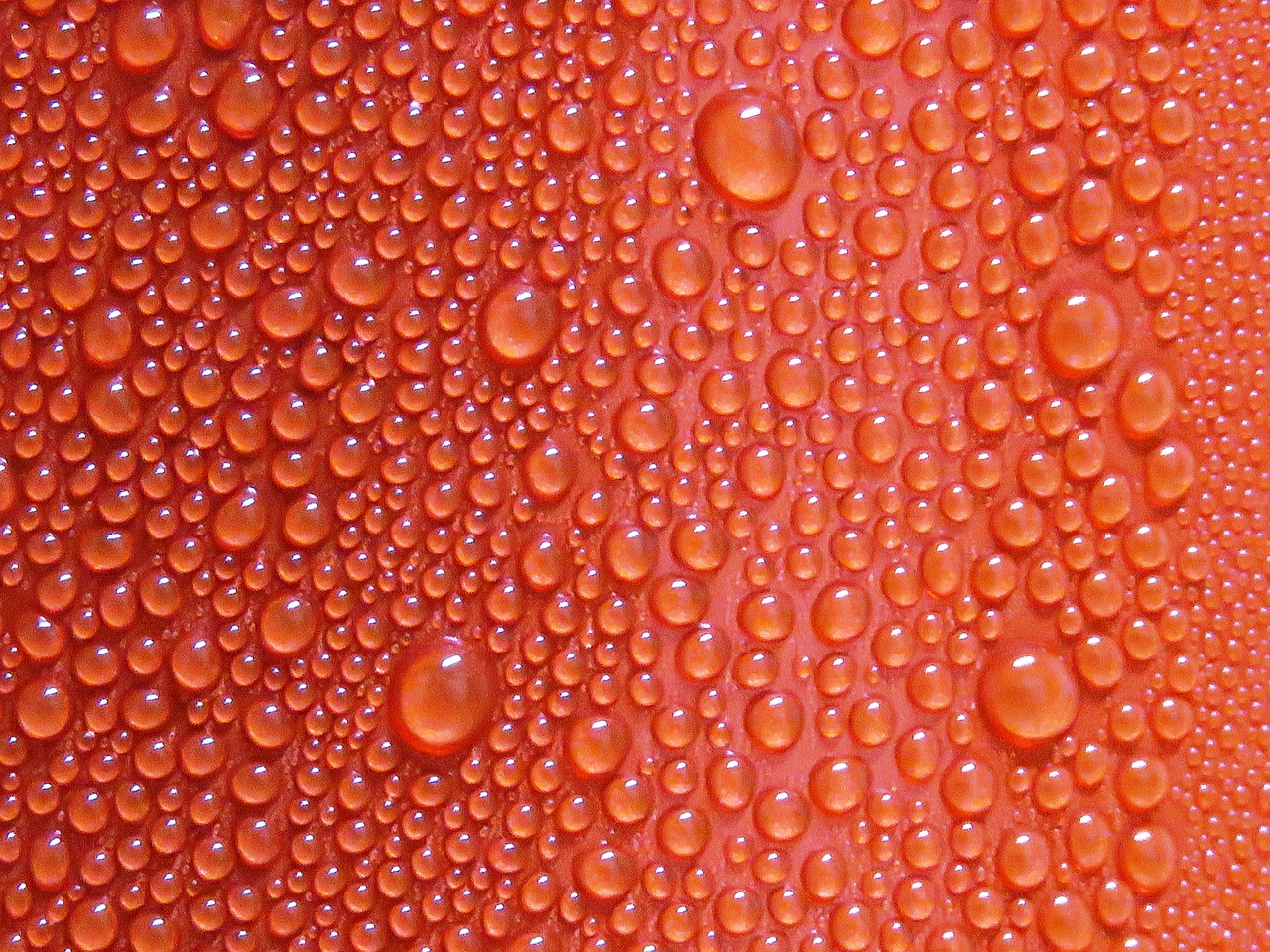 Sweating: the neglected cardiac symptom – Heart Sisters