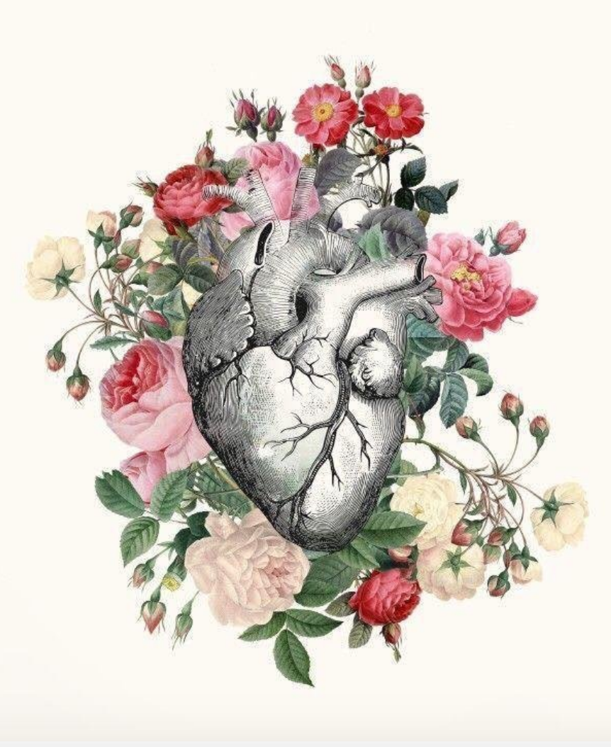 Heart Sisters – For women living with heart disease