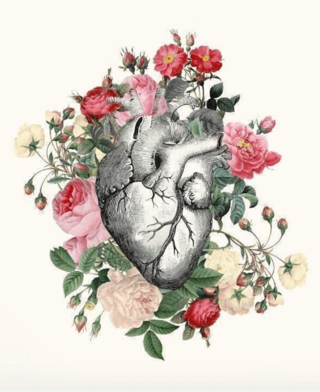 Women’s cardiac care: back then, right now and into our future – Heart ...